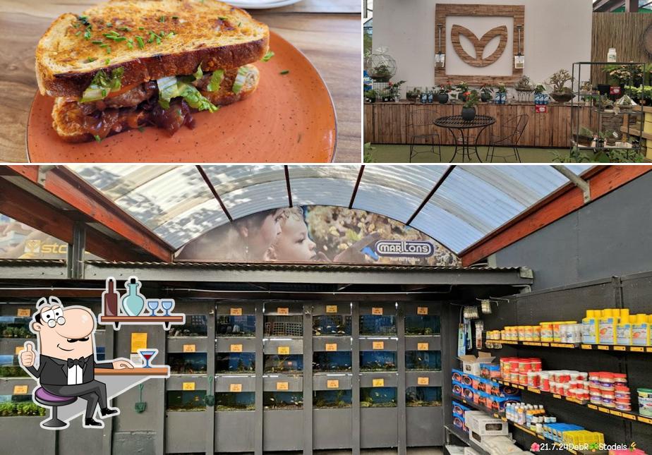Stodels Cafe Bellville, Cape Town - Restaurant menu, prices and reviews