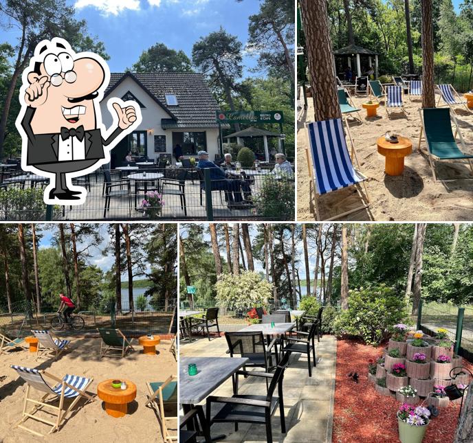 Top 5 restaurants with ice cream in Grünheide (Mark), january 2026 ...