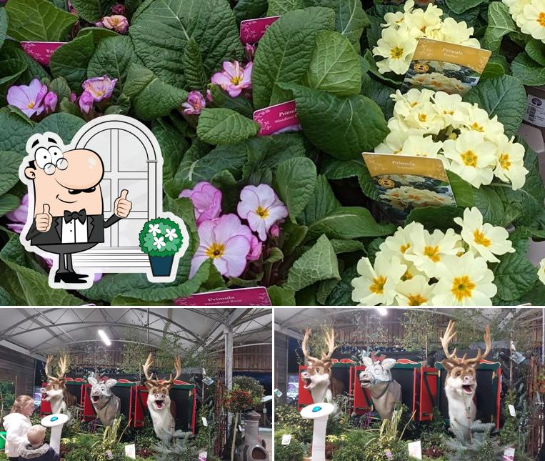 Strikes Garden Centre, Stokesley - Restaurant menu, prices and reviews