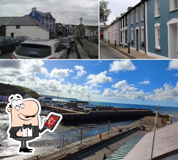 Harbourmaster Hotel, Aberaeron - Restaurant menu, prices and reviews