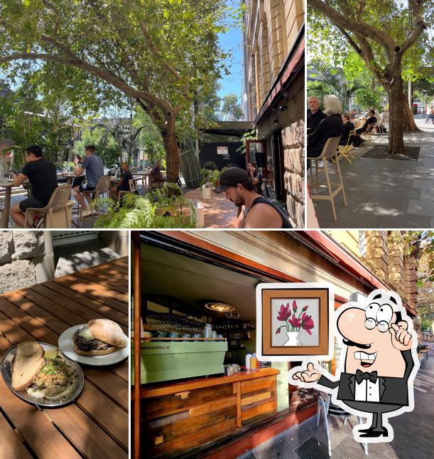 THEECA, Darlinghurst - Restaurant menu, prices and reviews