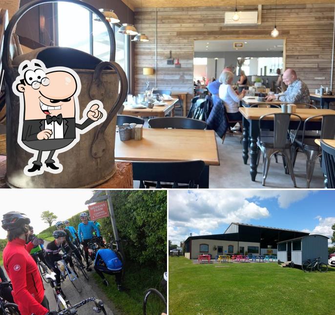 Merkins Farm Cafe, Bradford-on-Avon - Restaurant menu, prices and reviews