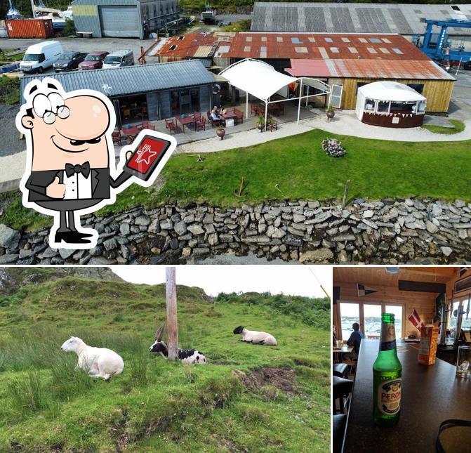 Waypoint Restaurant, Oban - Restaurant menu, prices and reviews