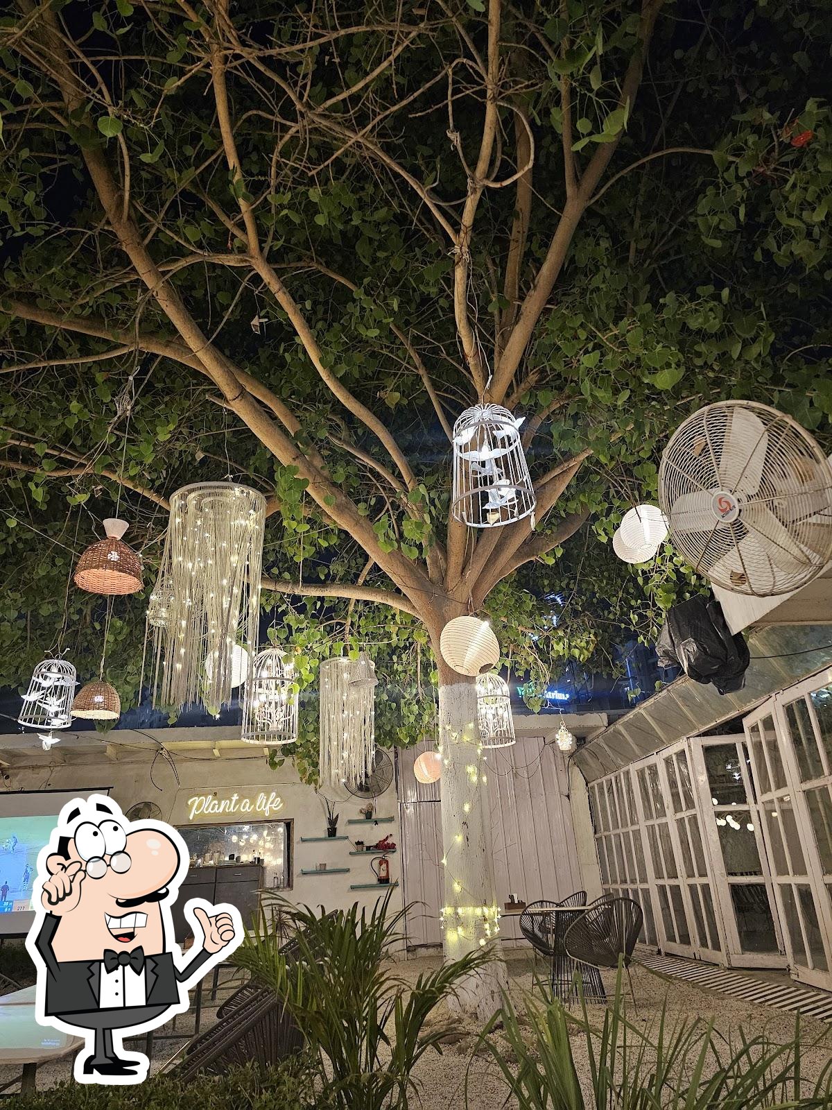The Big Tree Gurgaon, Gurugram - Restaurant menu, prices and reviews