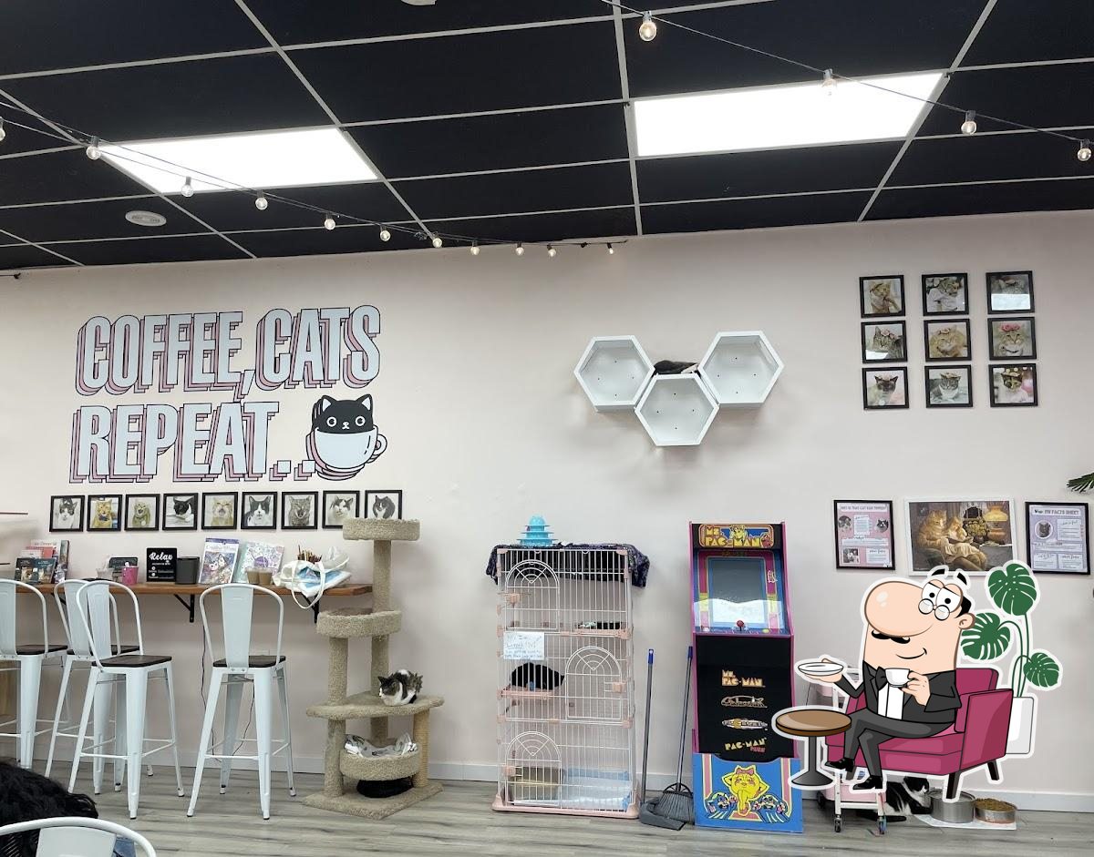 The Shabby Tabby Cat Cafe & Kitten Lounge, Sayville - Restaurant menu ...