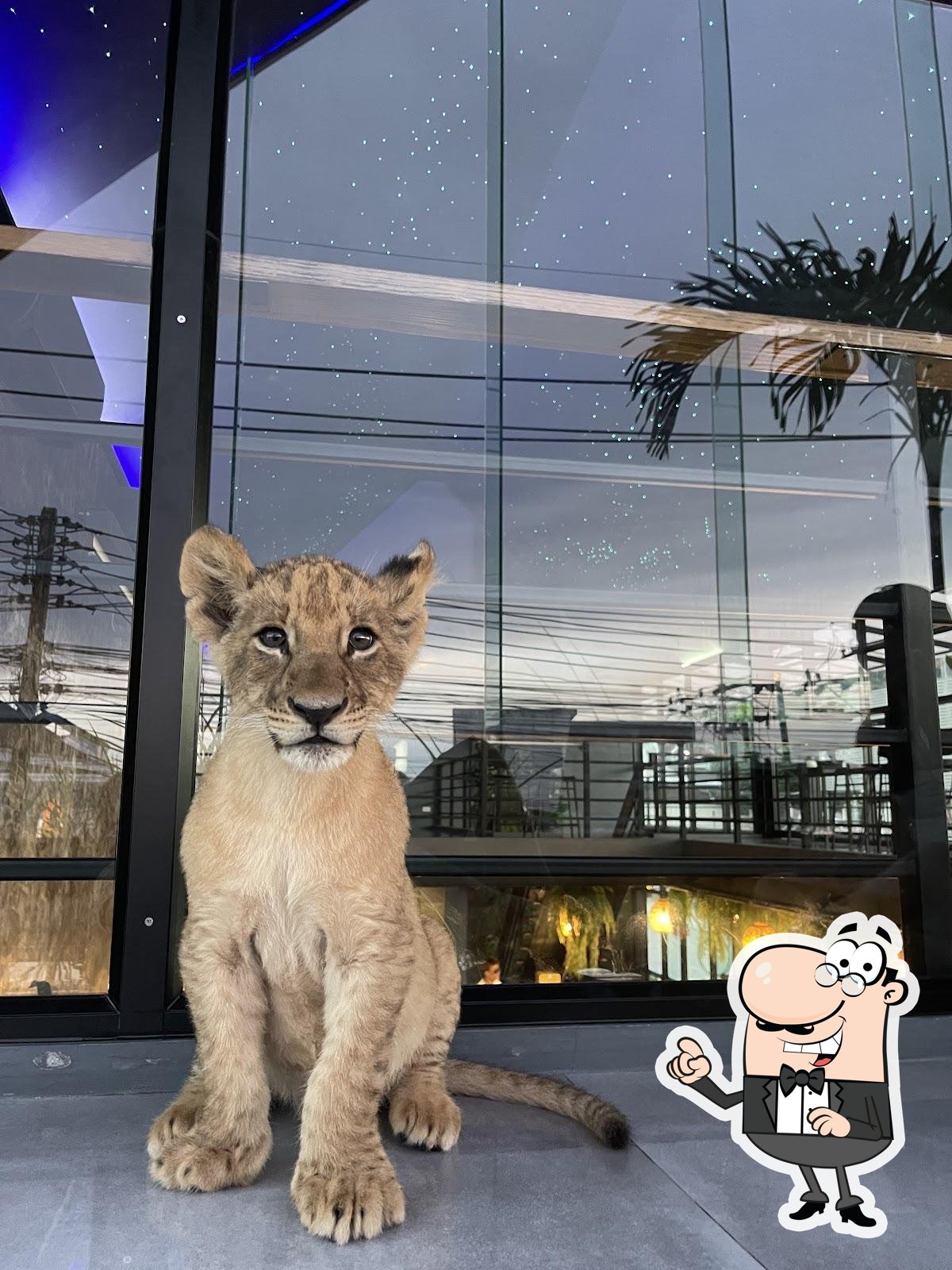 The glass house Lion cafe, Phuket - Restaurant menu, prices and reviews