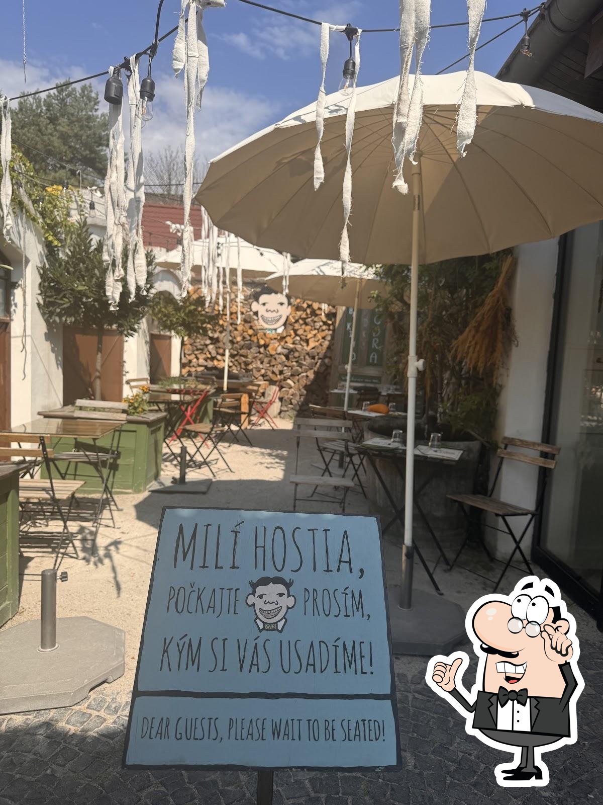 Wild Kitchen Modra - Restaurant menu, prices and reviews