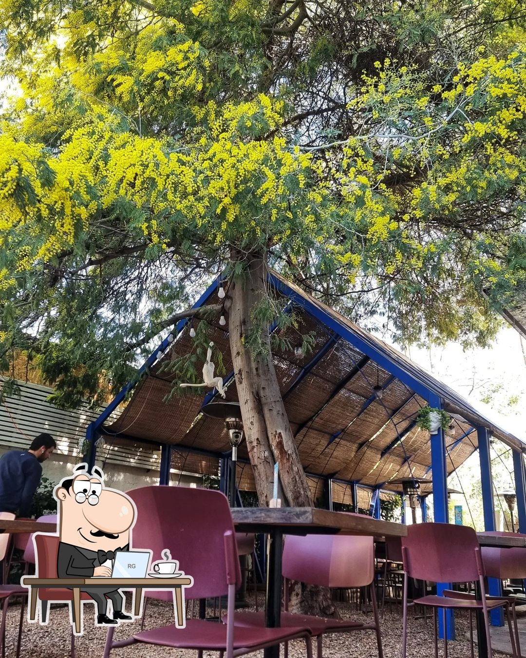 Verde Sazón, Santiago - Menú del restaurante, precios y reseñas