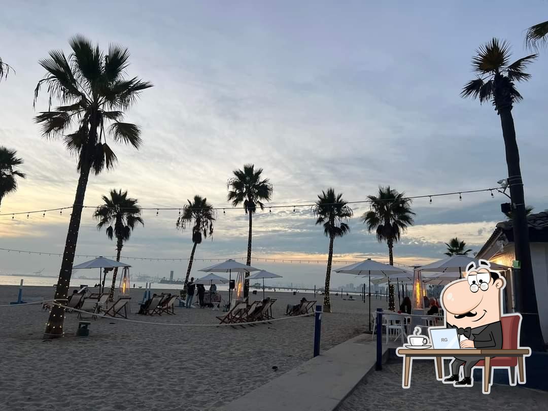 Monty’s Dog Beach & Bar - Long Beach, Long Beach - Restaurant menu, prices and reviews