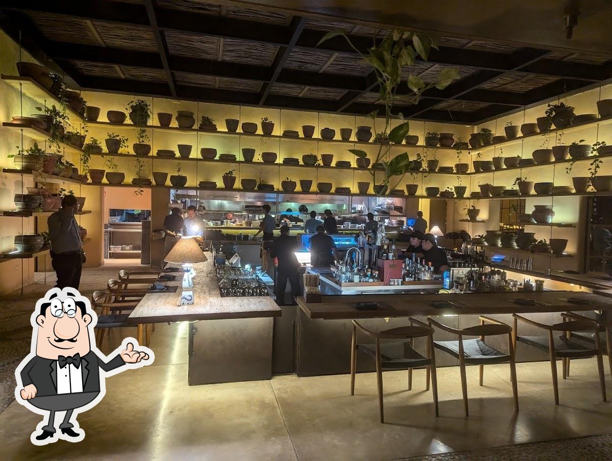 Toro Latin Kitchen, Cabo San Lucas - Restaurant menu, prices and reviews