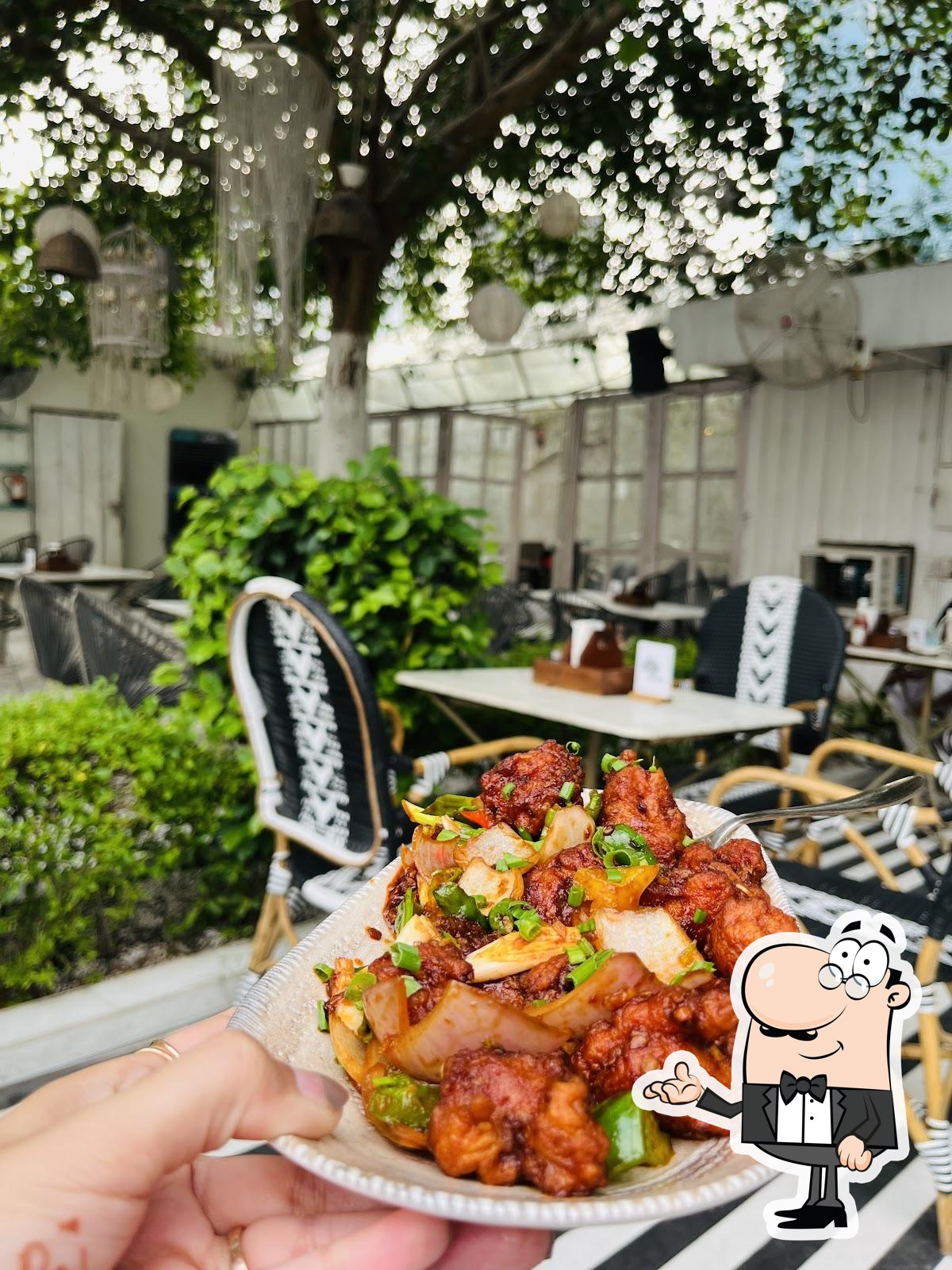 The Big Tree Cafe Golf Course Road Big Tree Cafe, Gurugram - Restaurant ...