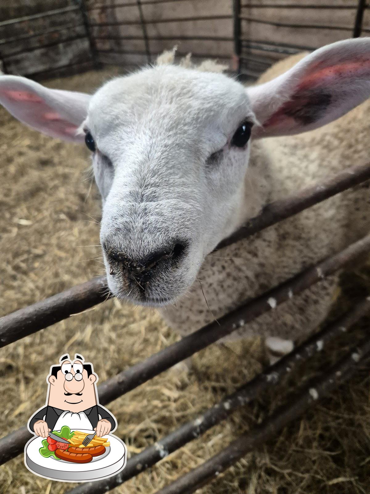 Lizzie’s Farm, Bromsgrove - Restaurant menu, prices and reviews