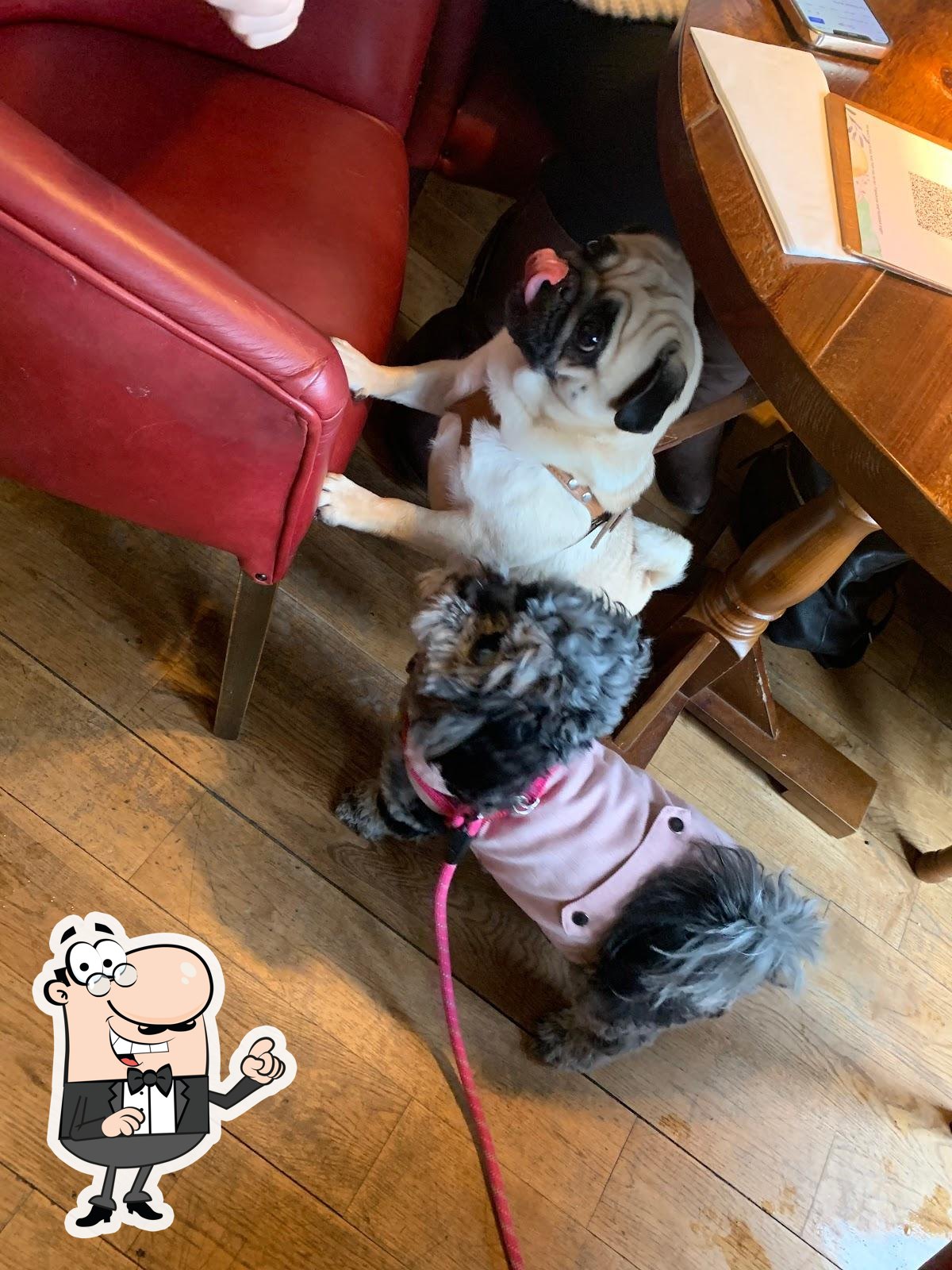 The Glover Arms, Perth - Restaurant menu, prices and reviews