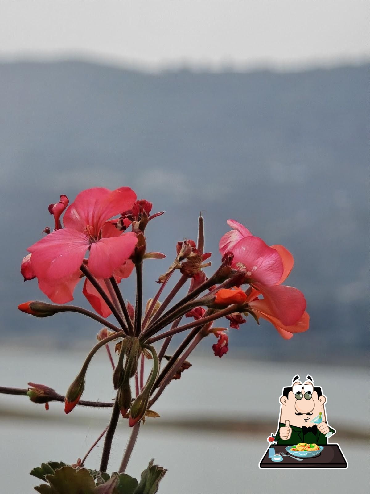 MANGATA GUATAVITA, Guatavita - Menú del restaurante, precios y reseñas