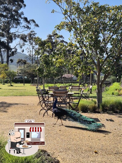 FYRE Dining, Paarl - Restaurant menu, prices and reviews