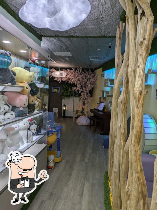 Meow Cat Cafe, Glasgow - Restaurant menu, prices and reviews