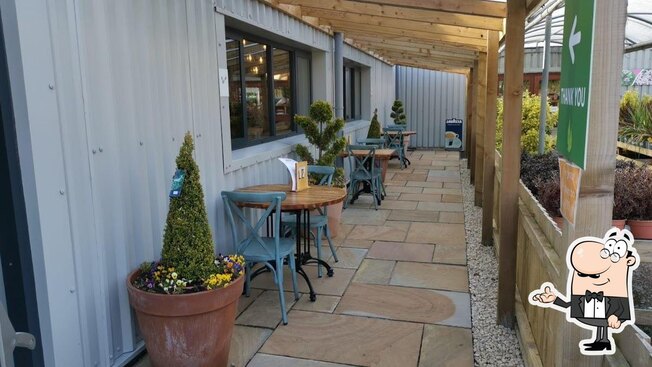 The Orange Tree Cafe/Restaurant, Cardiff - Restaurant menu, prices and ...