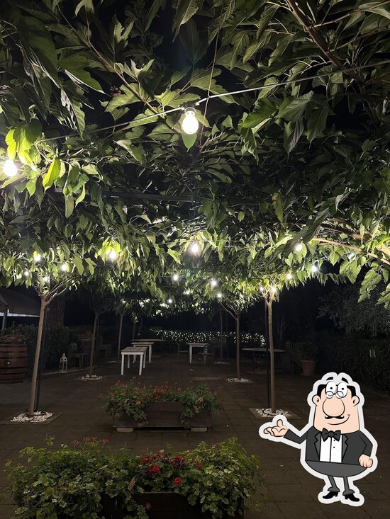 Le Antiche volte Osteria, Vada - Restaurant menu, prices and reviews