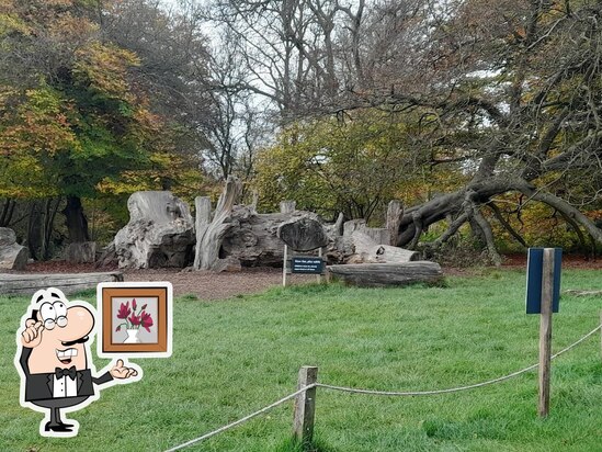 Ashridge Monument Café, Berkhamsted - Restaurant menu, prices and reviews