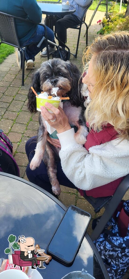 Paws for Tea Tearoom, Beccles - Restaurant menu, prices and reviews