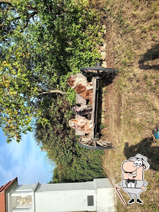 Weinbau Wiedeck 17.8. – 18.9, Stetten - Speisekarte, Preise und Bewertungen