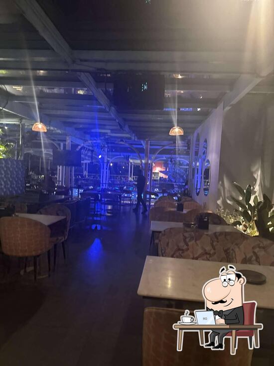 Macaw By Stories, Bengaluru - Restaurant menu, prices and reviews
