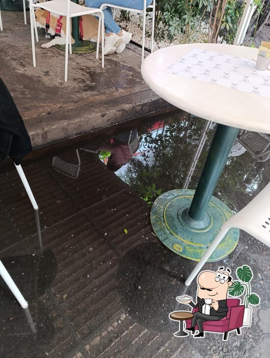 Conejo Blanco Café, Ciudad de México - Menú del restaurante, precios y ...