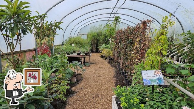 Jungle Tea Room, Storrington - Restaurant menu, prices and reviews