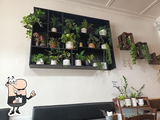 Cafe 4U, Whakatane - Restaurant menu, prices and reviews