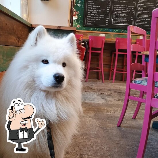 The Restoration Cafe, Matlock Bath, Matlock - Restaurant menu, prices ...