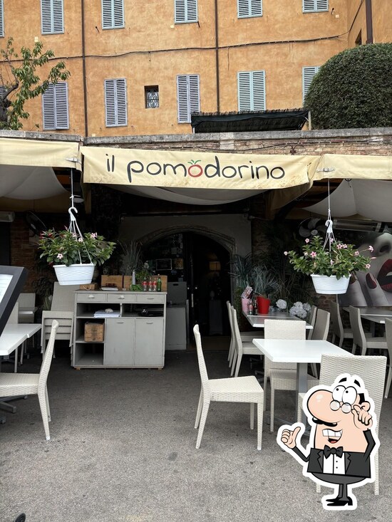 Il Pomodorino, Siena - Restaurant menu, prices and reviews