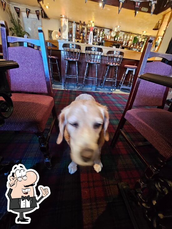 The Maybole Arms, Maybole - Restaurant menu, prices and reviews