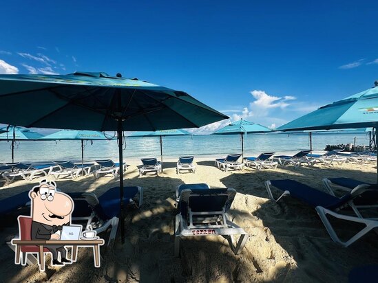 Tarzan Beach Club, Isla Mujeres - Menú del restaurante, precios y reseñas
