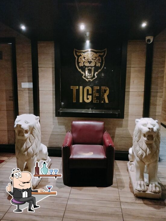 Tiger NightClub, Kota - Restaurant menu, prices and reviews