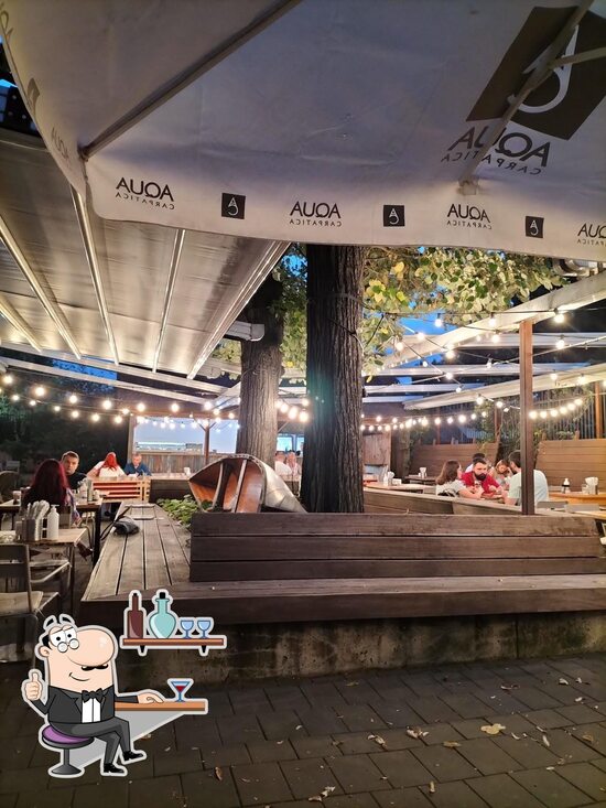 Ivan Pescar & Scrumbia Bar (Kingfisher Ivan & Shad Bar), Bucharest ...
