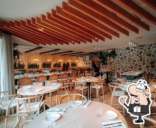 Dimi's Greek House, London - Restaurant menu, prices and reviews