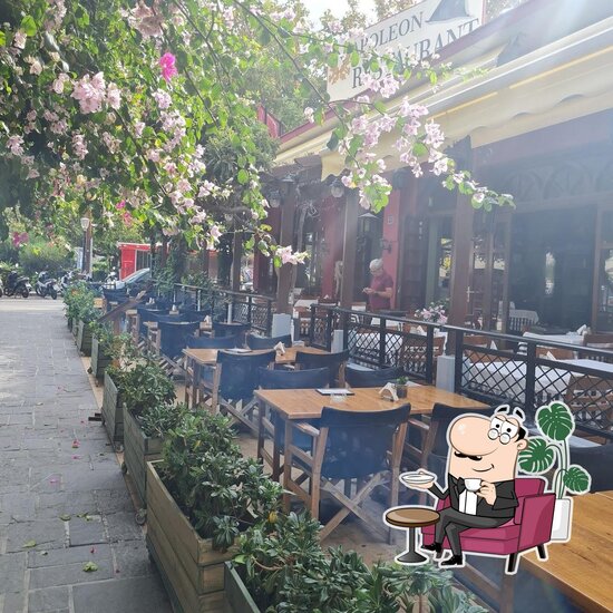 Blue coyote, Rhodes - Restaurant menu, prices and reviews